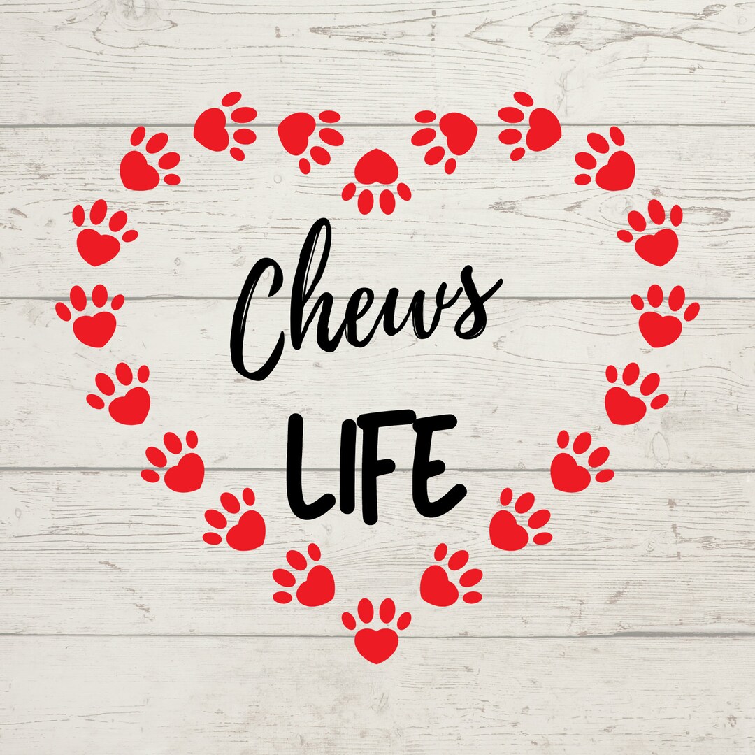 Animal Rescue SVG, Foster Svg, Adopt Svg, Pet Adoption, Humane Shelter ...