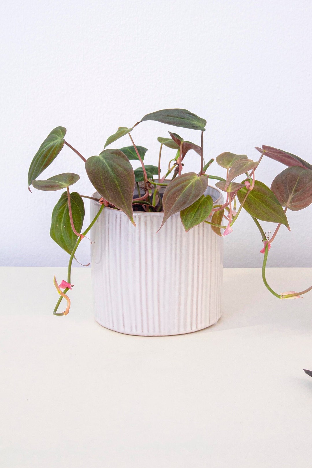 Stunning Handmade Ceramic Plant Pot Contemporary Lined - Etsy