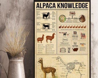 Vintage Llama Poster - Etsy