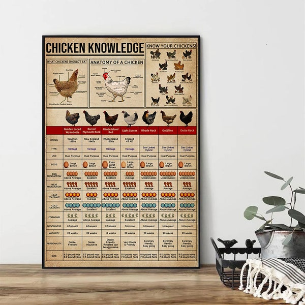 Chicken Poster - Etsy