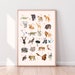 Safari Alphabet Poster | Printable ABC Wall Art | Alphabet Print | ABC ...