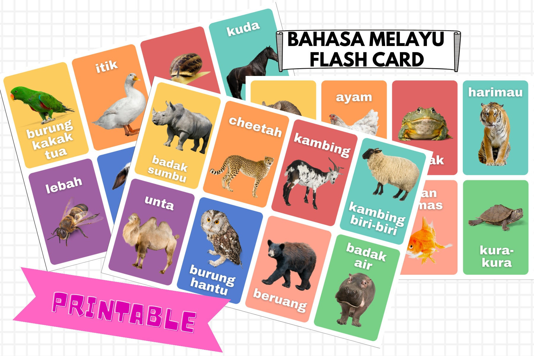 Animal Flash Card in Bahasa Melayu/malay - Etsy