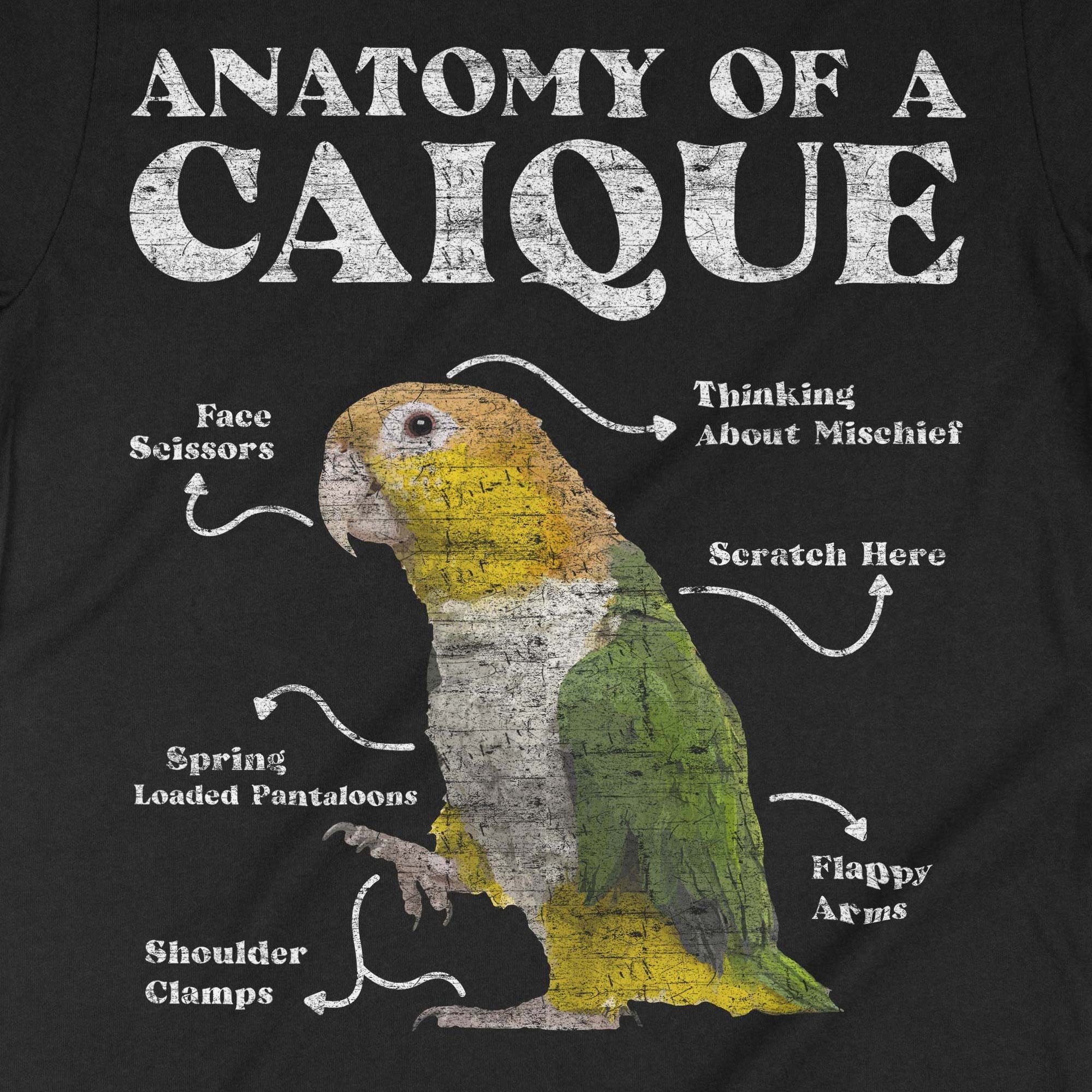 Anatomy of A Caique Bird, Caique T-shirt, Crazy Parrot Lady, Cute ...