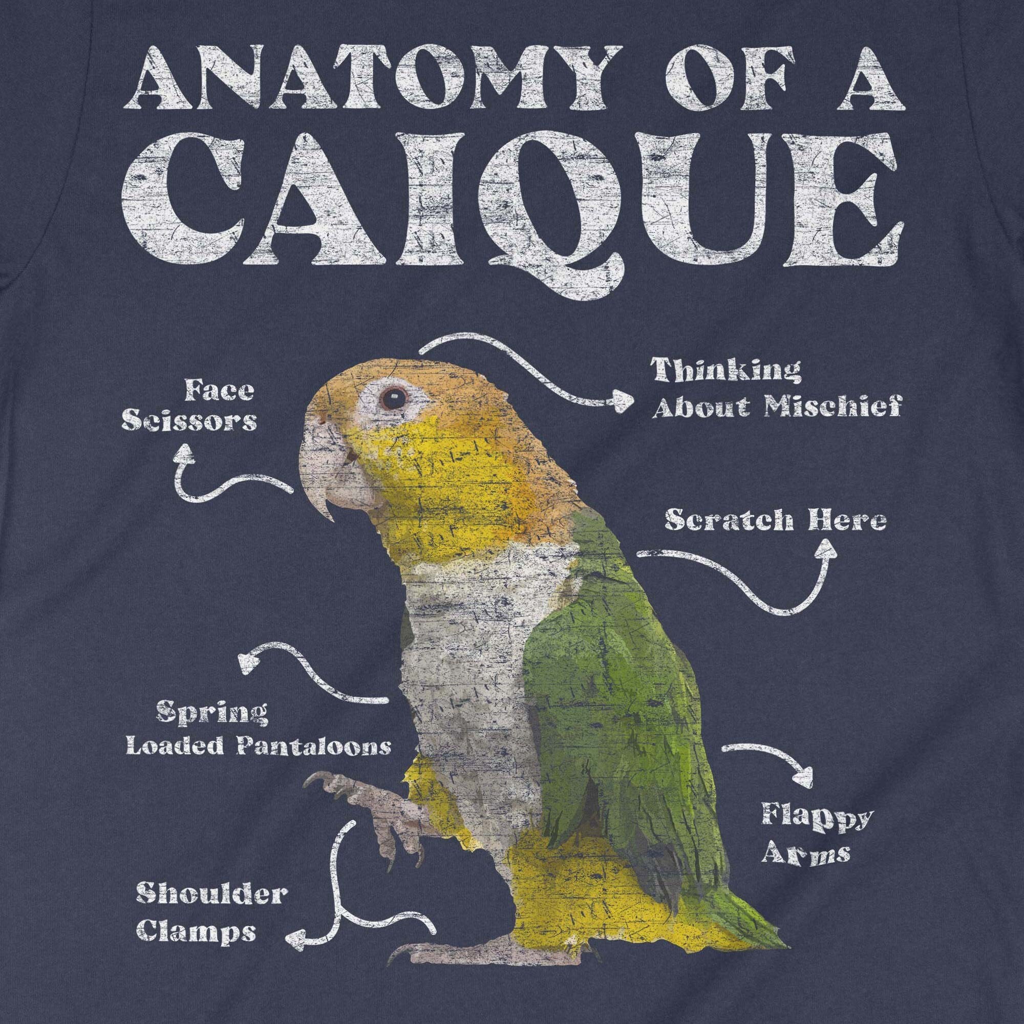 Anatomy of A Caique Bird Caique T-shirt Crazy Parrot Lady - Etsy