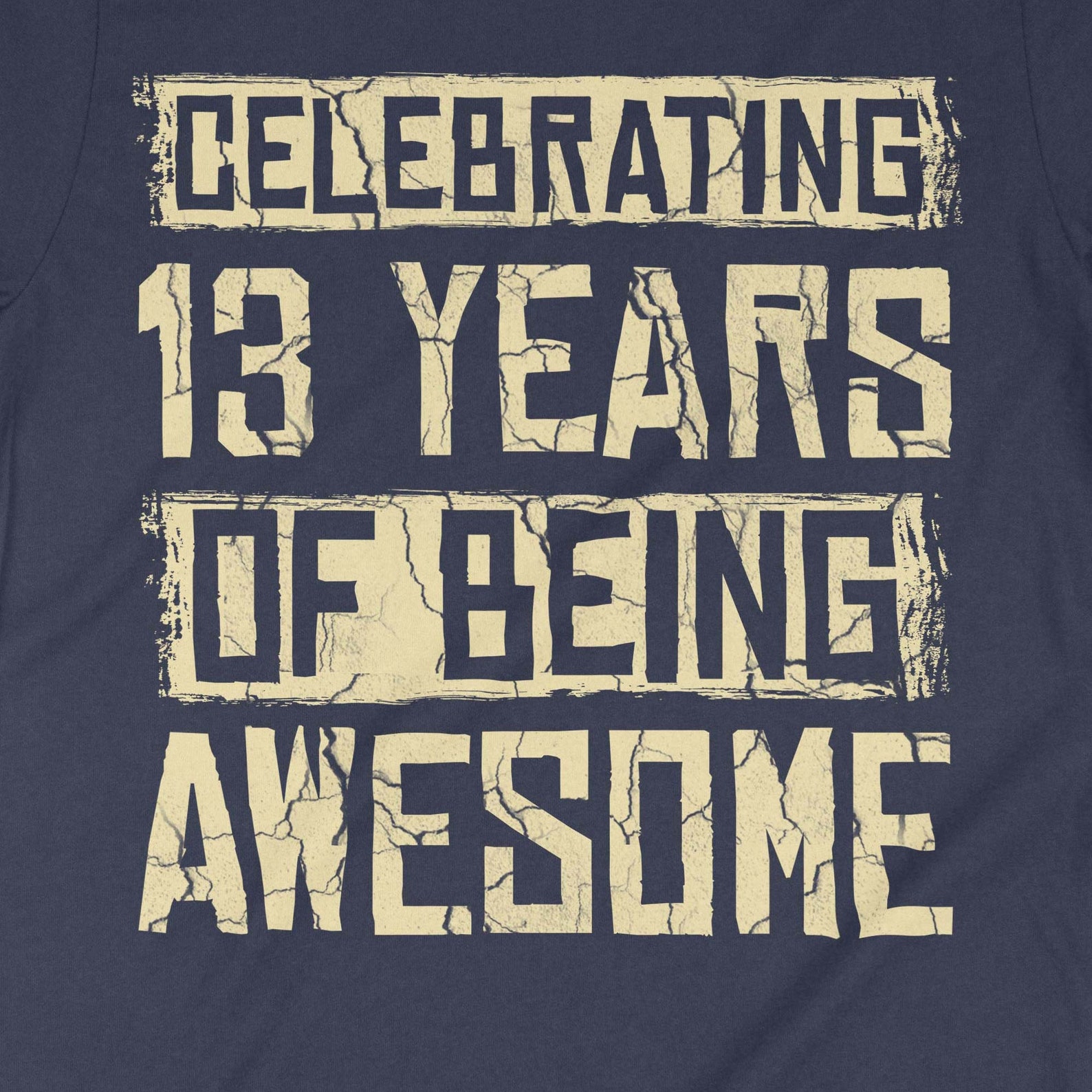 Celebrating 13 Years of Being Awesome, 13th Birthday Shirt, 13th ...