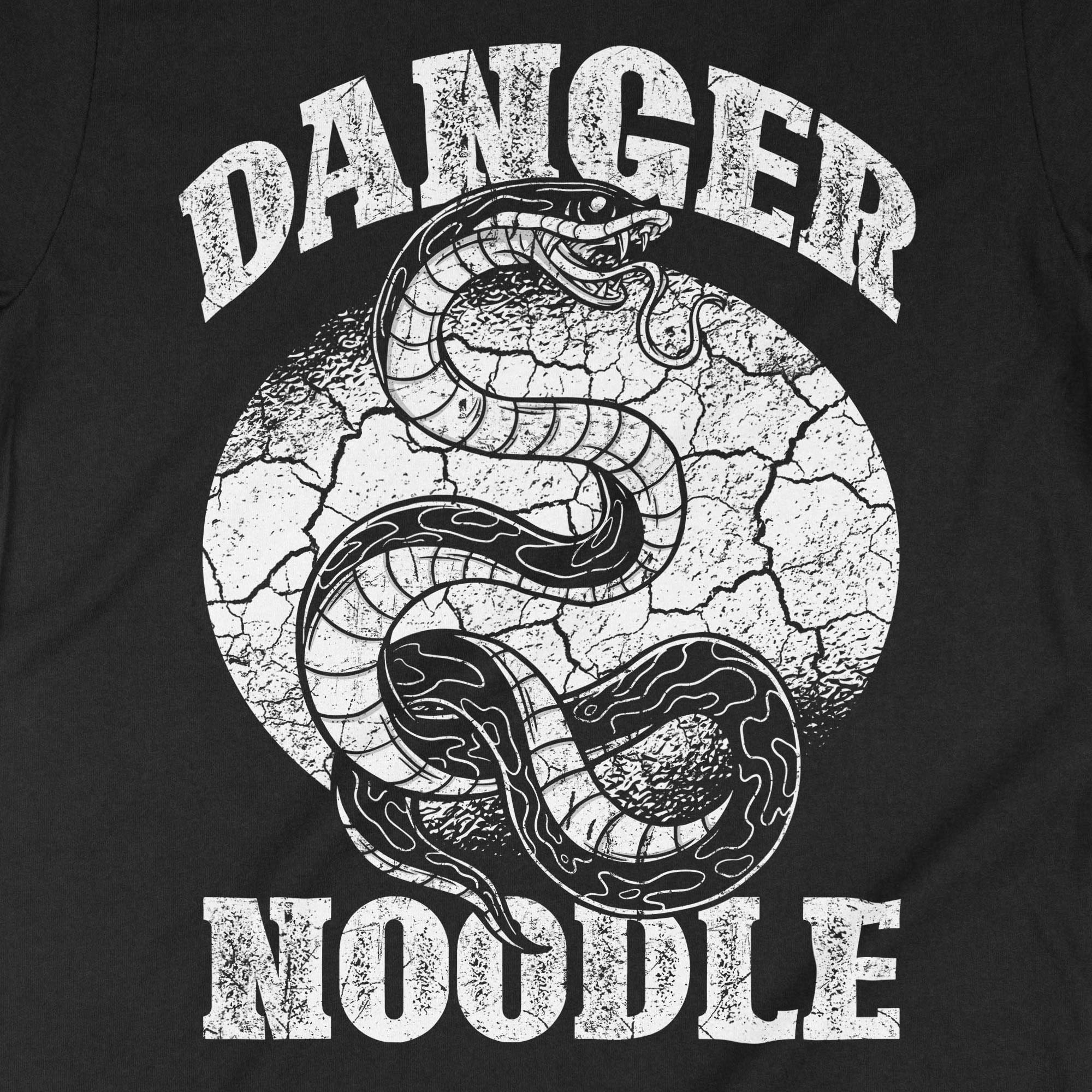 Danger Noodle, Snake Shirt, Ball Python Shirt, No Step on Snek, Gift ...