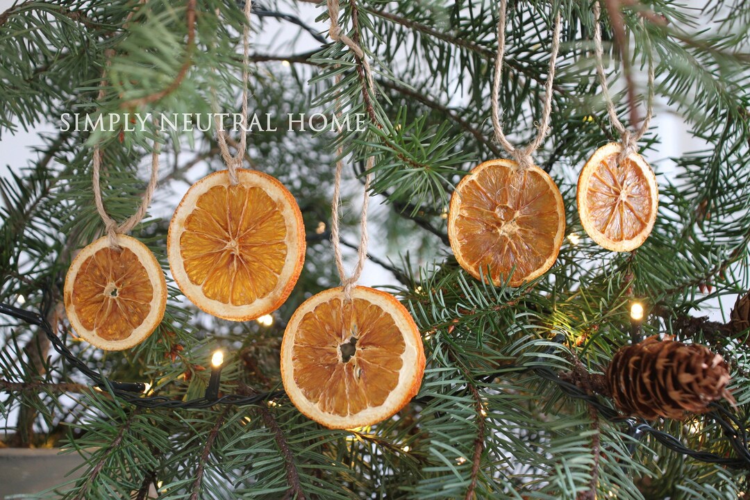 Set of 5 Dried Clementine Small Orange Slices Natural Eco-friendly ...