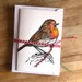 Robin Cards Pack of Five - Etsy