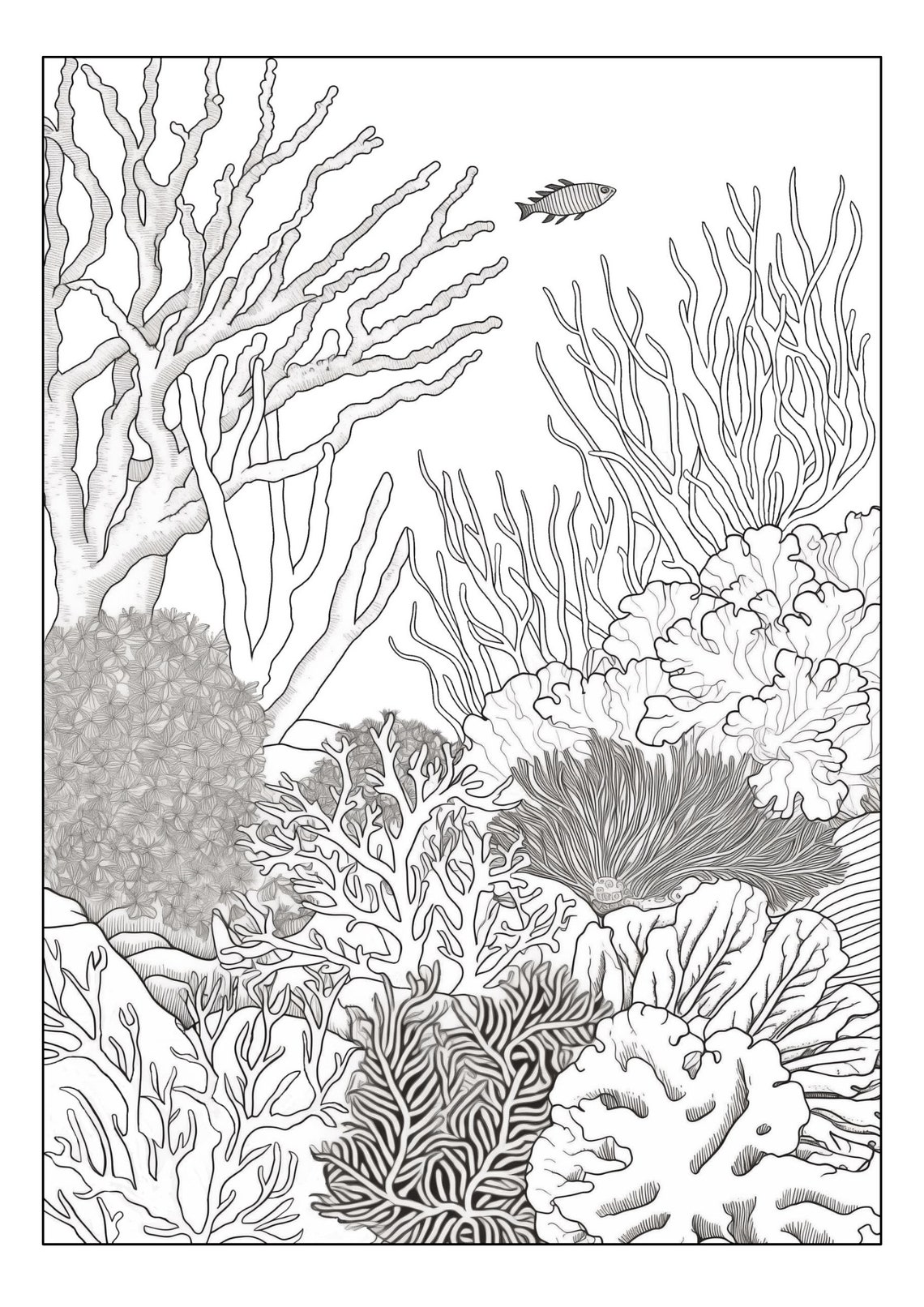 Set of 20 Coloring Pages With Sea Corals, Marine and Ocean Life, Coral ...
