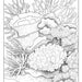 Set of 20 Coloring Pages With Sea Corals, Marine and Ocean Life, Coral ...