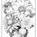 30 Printable Grayscale Coloring Pages With Flowers, for Kids and Adults ...