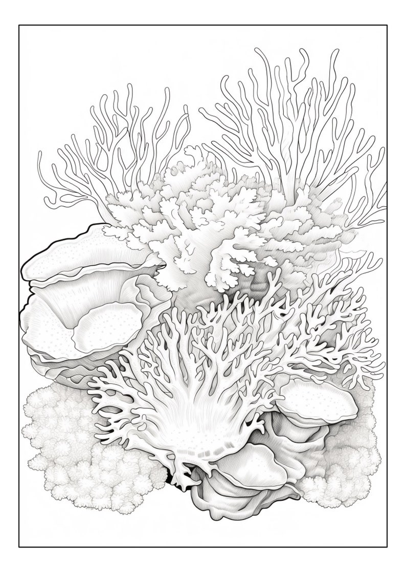 Set of 20 Coloring Pages With Sea Corals, Marine and Ocean Life, Coral ...
