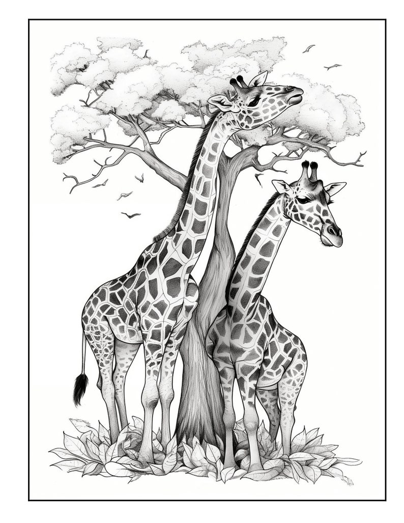 40 Printable Grayscale Coloring Pages for Kids and Adults With African ...