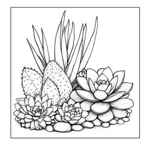 Set of 30 Printable Coloring Pages With Lovely Succulents. Coloring ...