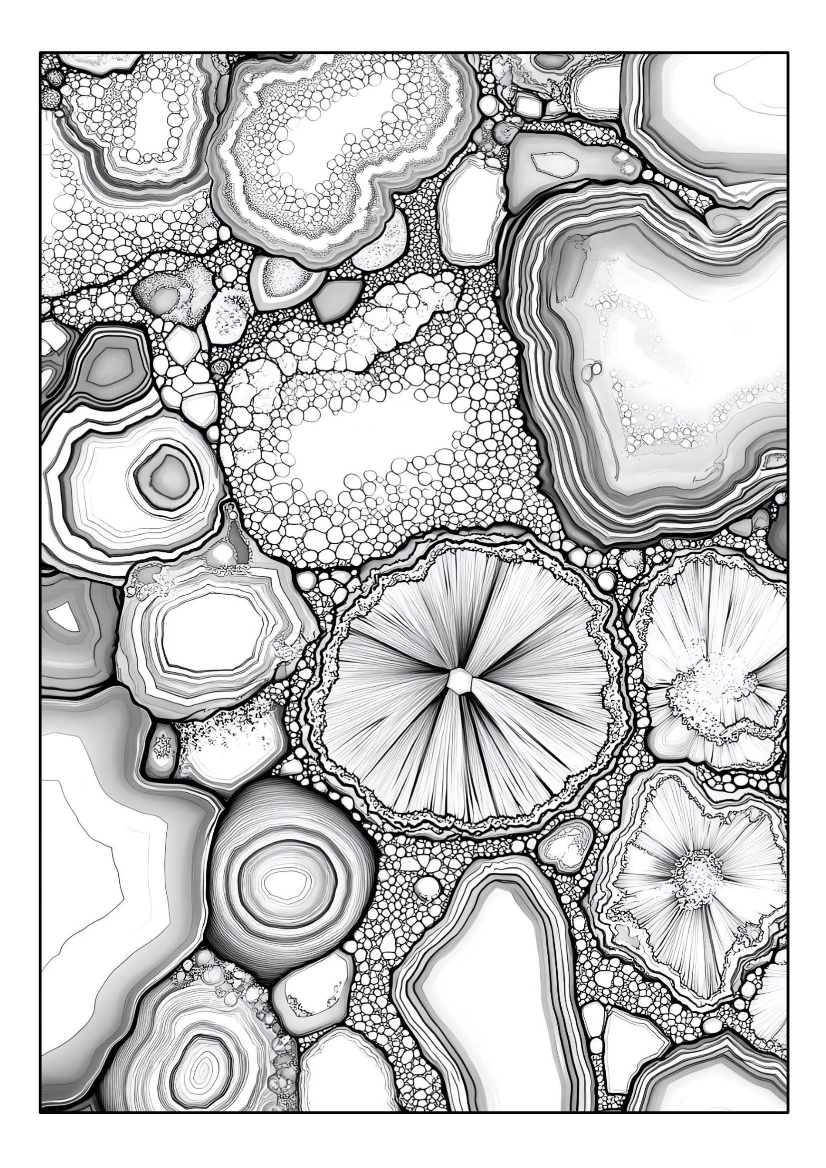 Set of 32 Printable Coloring Pages With Small Agate Stones in Section ...