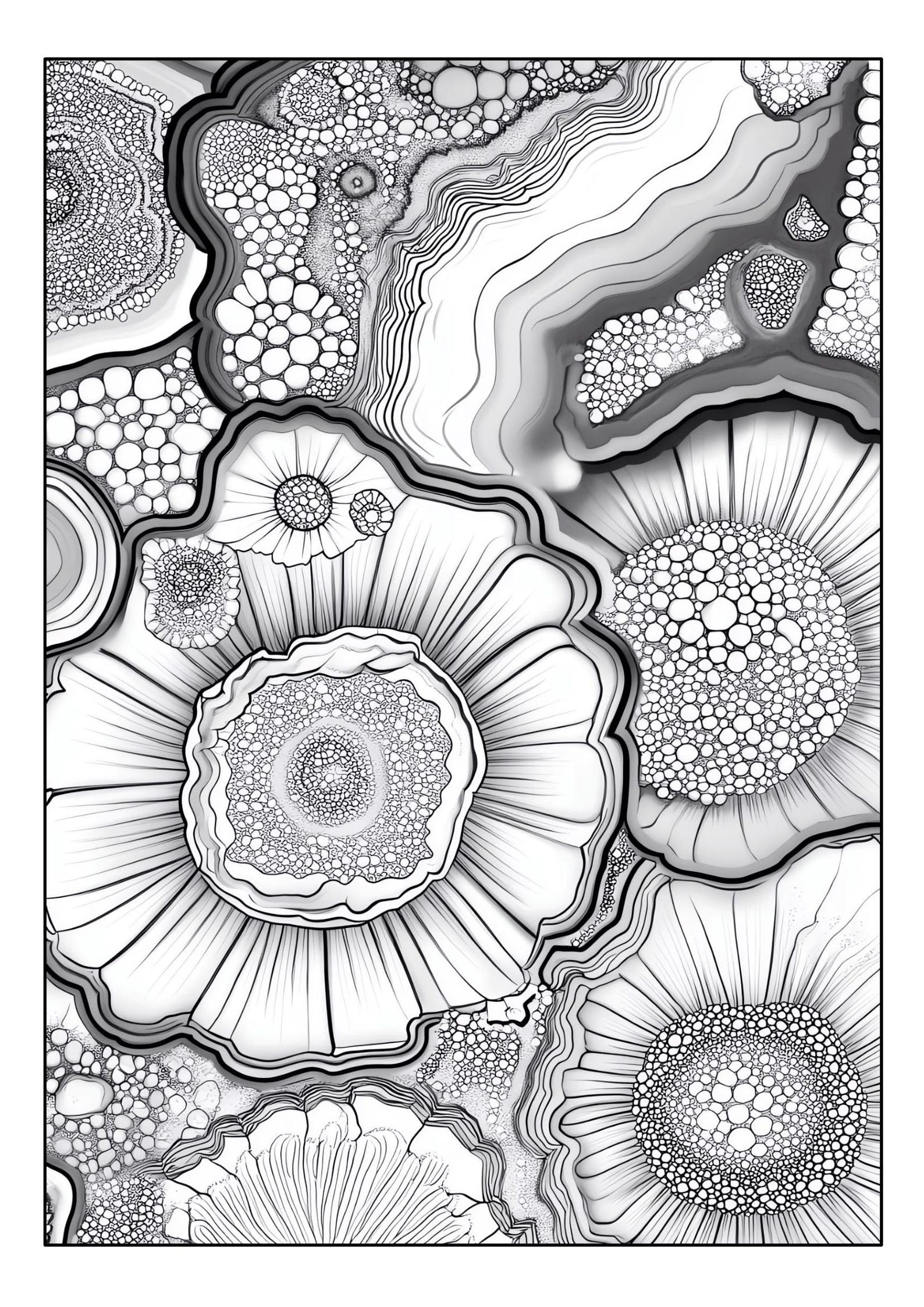 Set of 32 Printable Coloring Pages With Small Agate Stones in Section ...