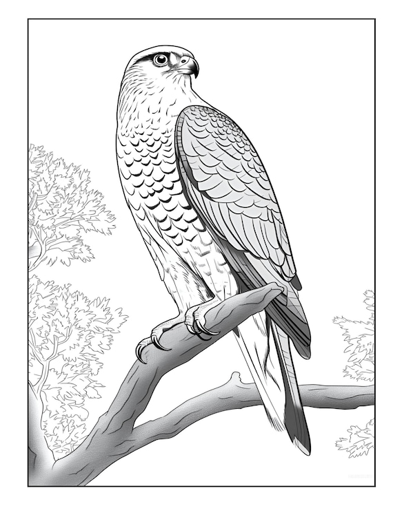 Dibujos Para Colorear De Animales De La Sabana-realistas E Imprimibles