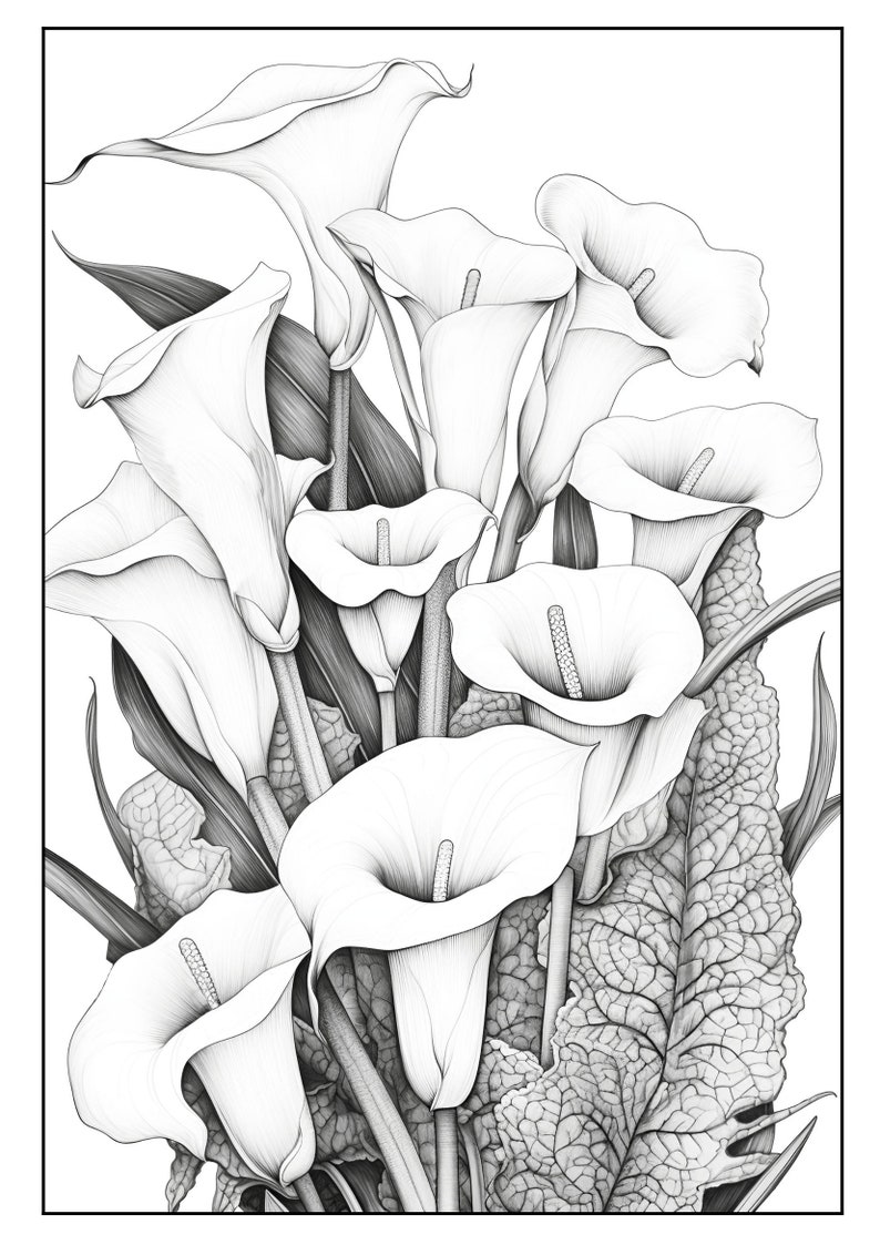 30 Printable Grayscale Coloring Pages With Flowers, for Kids and Adults ...