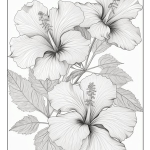 30 Printable Grayscale Coloring Pages With Flowers, for Kids and Adults ...