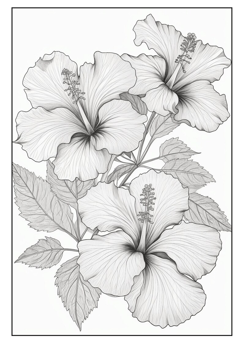 30 Printable Grayscale Coloring Pages With Flowers, for Kids and Adults ...