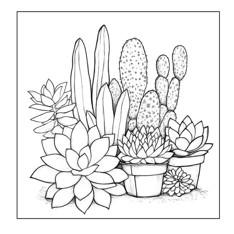 Set of 30 Printable Coloring Pages With Lovely Succulents. Coloring ...