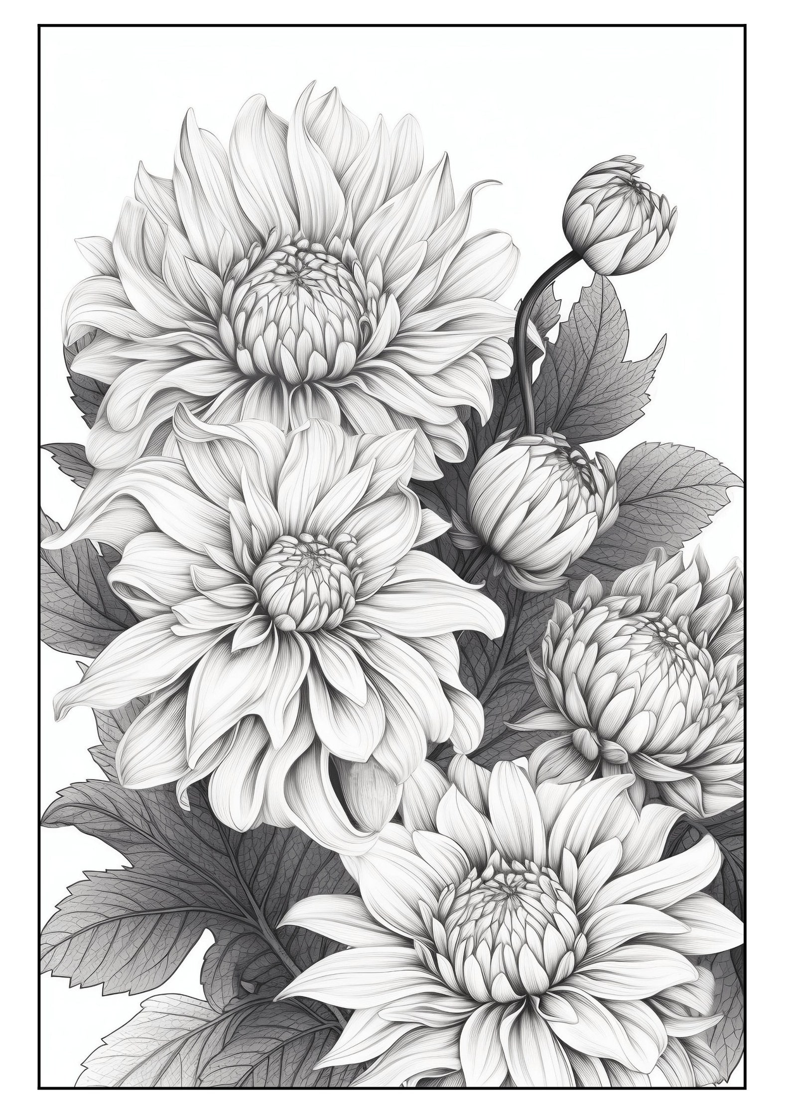 30 Printable Grayscale Coloring Pages With Flowers, for Kids and Adults ...