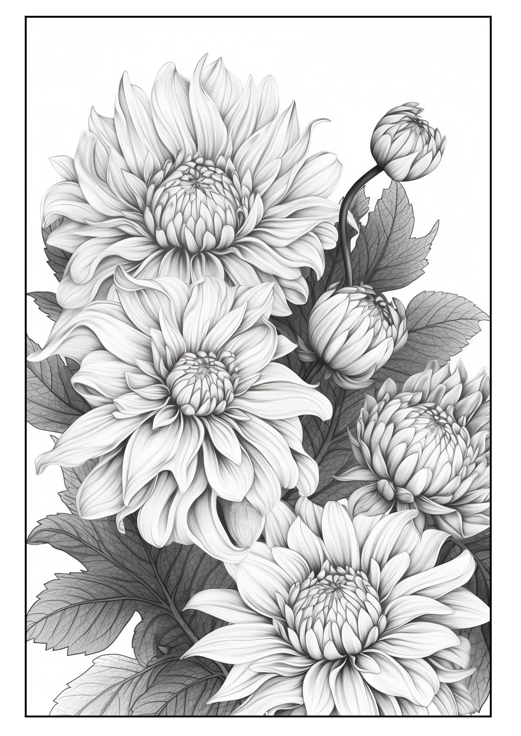 30 Printable Grayscale Coloring Pages With Flowers, for Kids and Adults ...