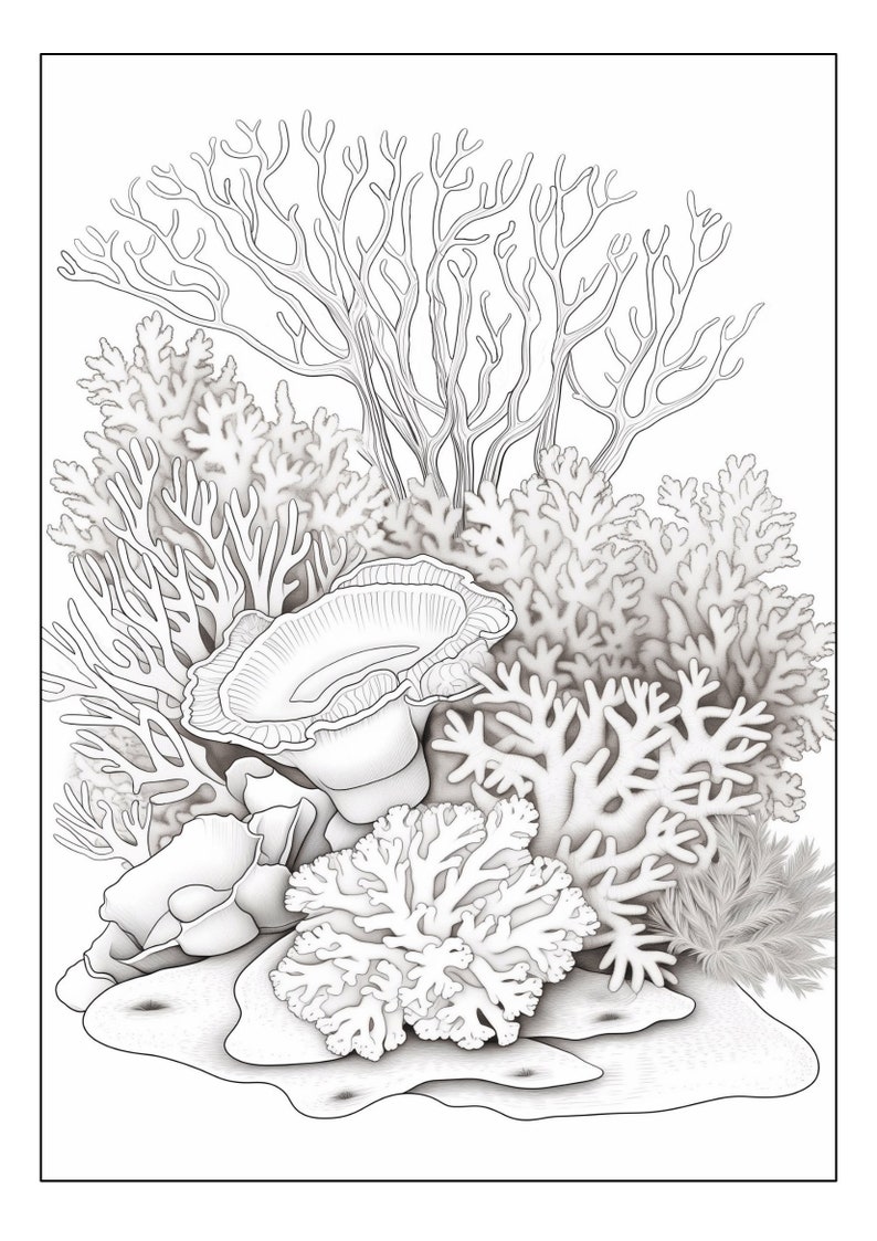 Set of 20 Coloring Pages With Sea Corals, Marine and Ocean Life, Coral ...