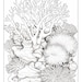 Set of 20 Coloring Pages With Sea Corals, Marine and Ocean Life, Coral ...