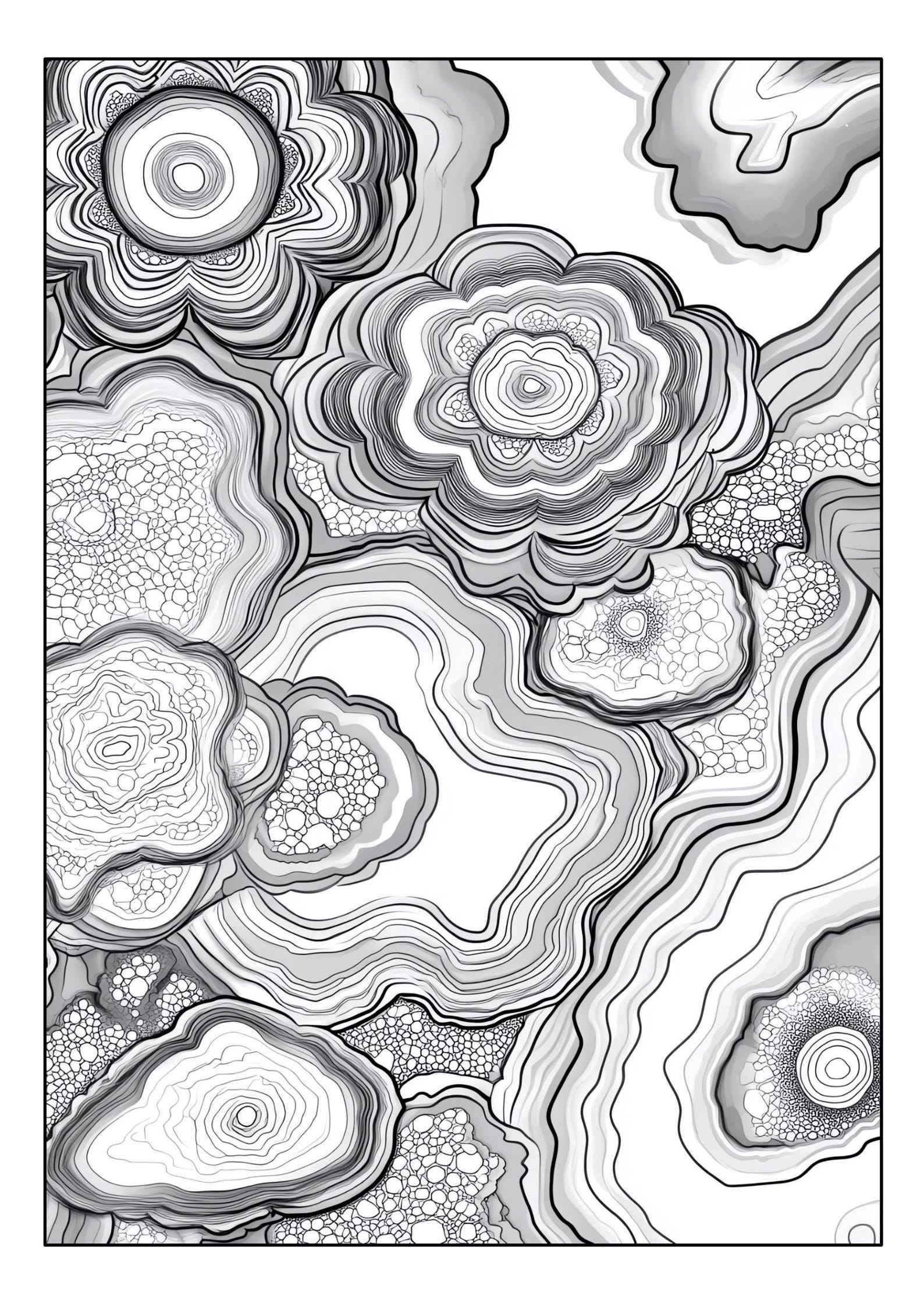 Set of 32 Printable Coloring Pages With Small Agate Stones in Section ...
