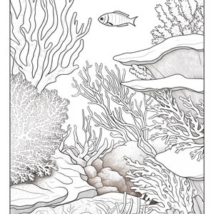 Set of 20 Coloring Pages With Sea Corals, Marine and Ocean Life, Coral ...