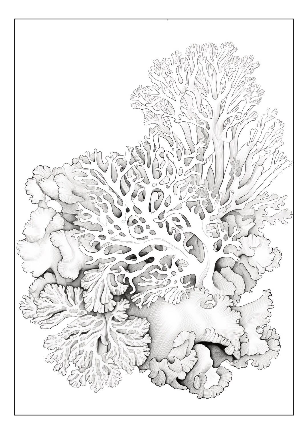 Set of 20 Coloring Pages With Sea Corals, Marine and Ocean Life, Coral ...