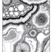 Set of 32 Printable Coloring Pages With Small Agate Stones in Section ...