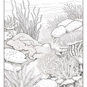 Set of 20 Coloring Pages With Sea Corals, Marine and Ocean Life, Coral ...