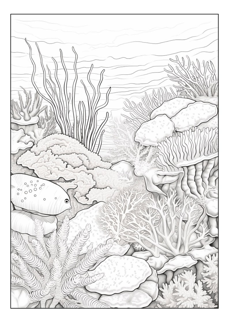 Set of 20 Coloring Pages With Sea Corals, Marine and Ocean Life, Coral ...