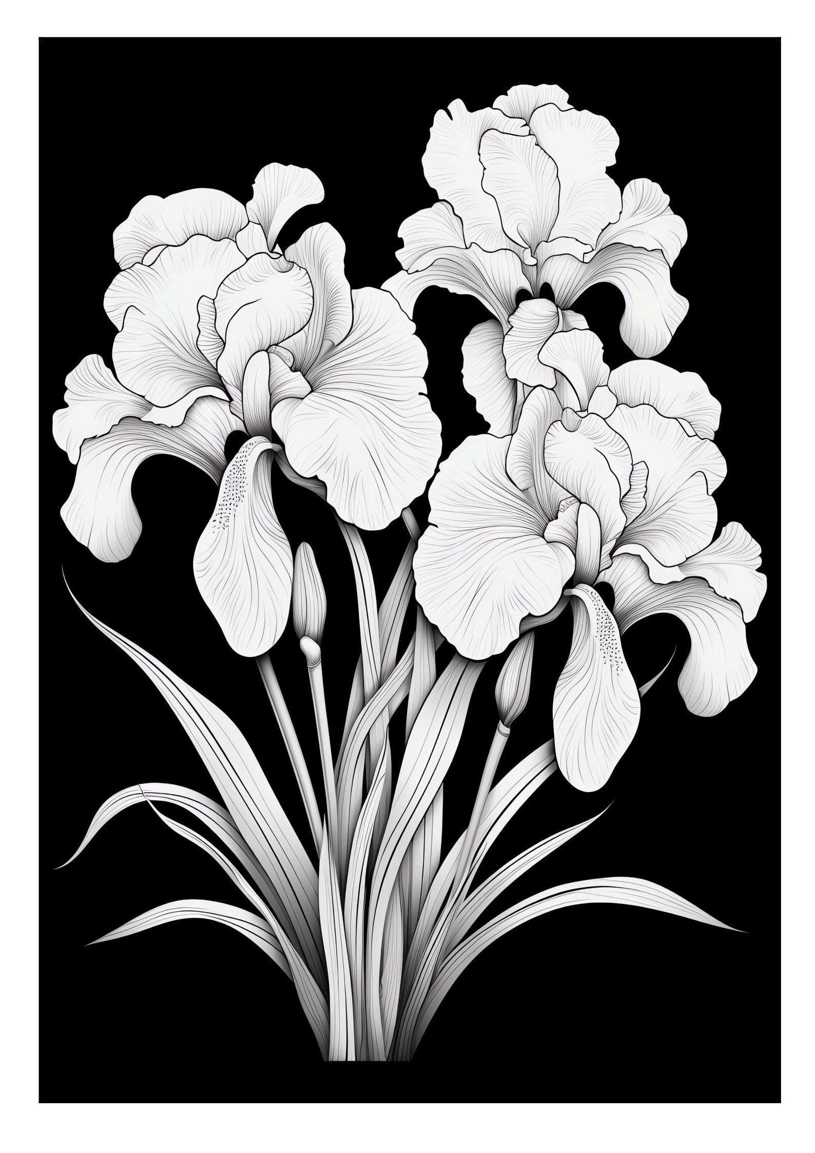 30 Printable Grayscale Coloring Pages With Flowers and Flower Bouquets ...