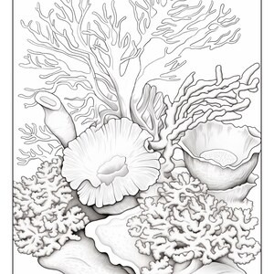 Set of 20 Coloring Pages With Sea Corals, Marine and Ocean Life, Coral ...