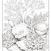 Set of 20 Coloring Pages With Sea Corals, Marine and Ocean Life, Coral ...