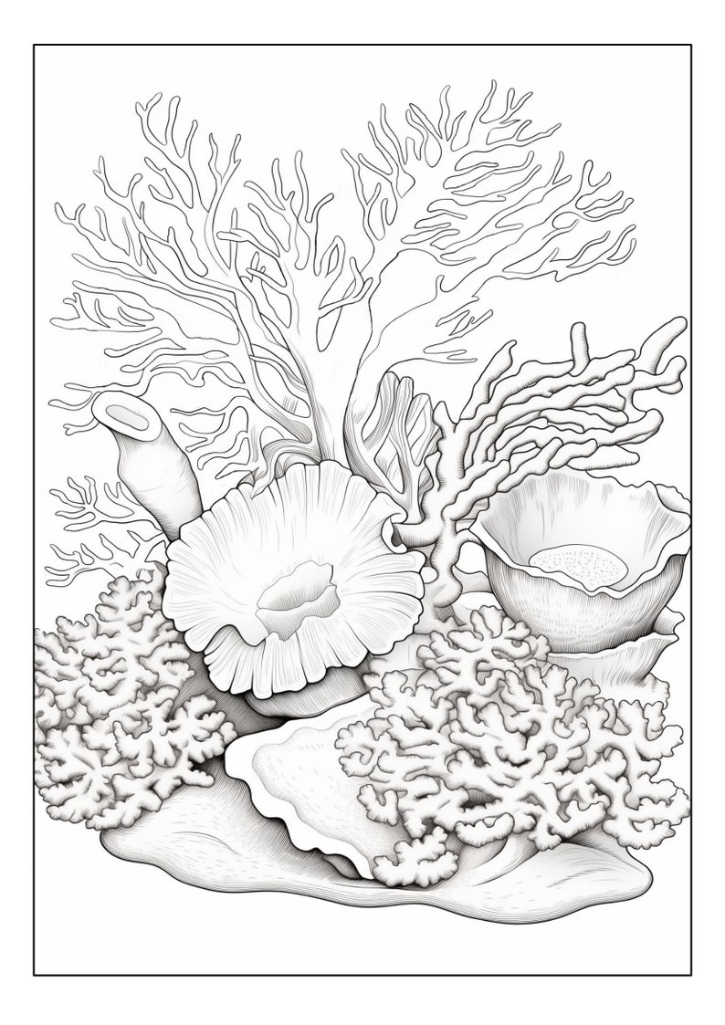 Set of 20 Coloring Pages With Sea Corals, Marine and Ocean Life, Coral ...
