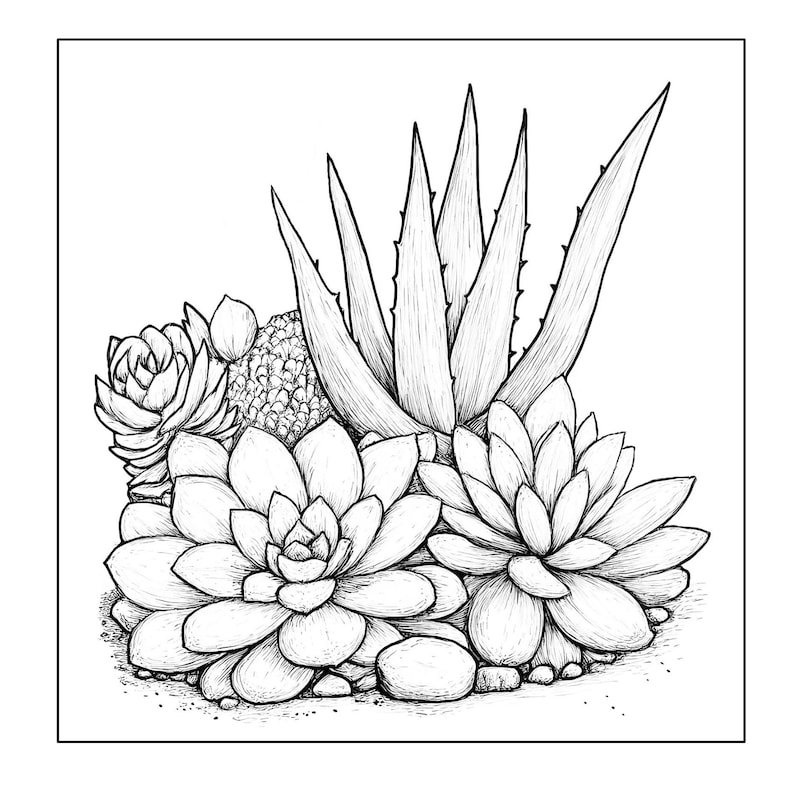 Set of 30 Printable Coloring Pages With Lovely Succulents. Coloring ...