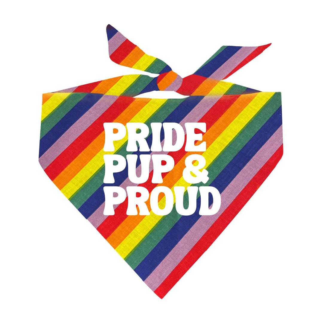Pride Pup & Proud LGBTQ Triangle Dog Bandana (assorted Colors Available ...