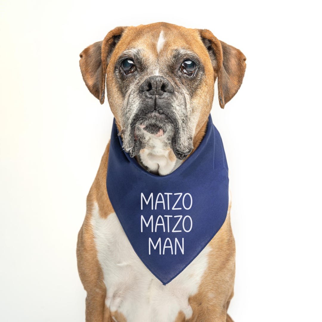 Matzo Matzo Man Passover Jewish Holiday Celebration Triangle Dog ...