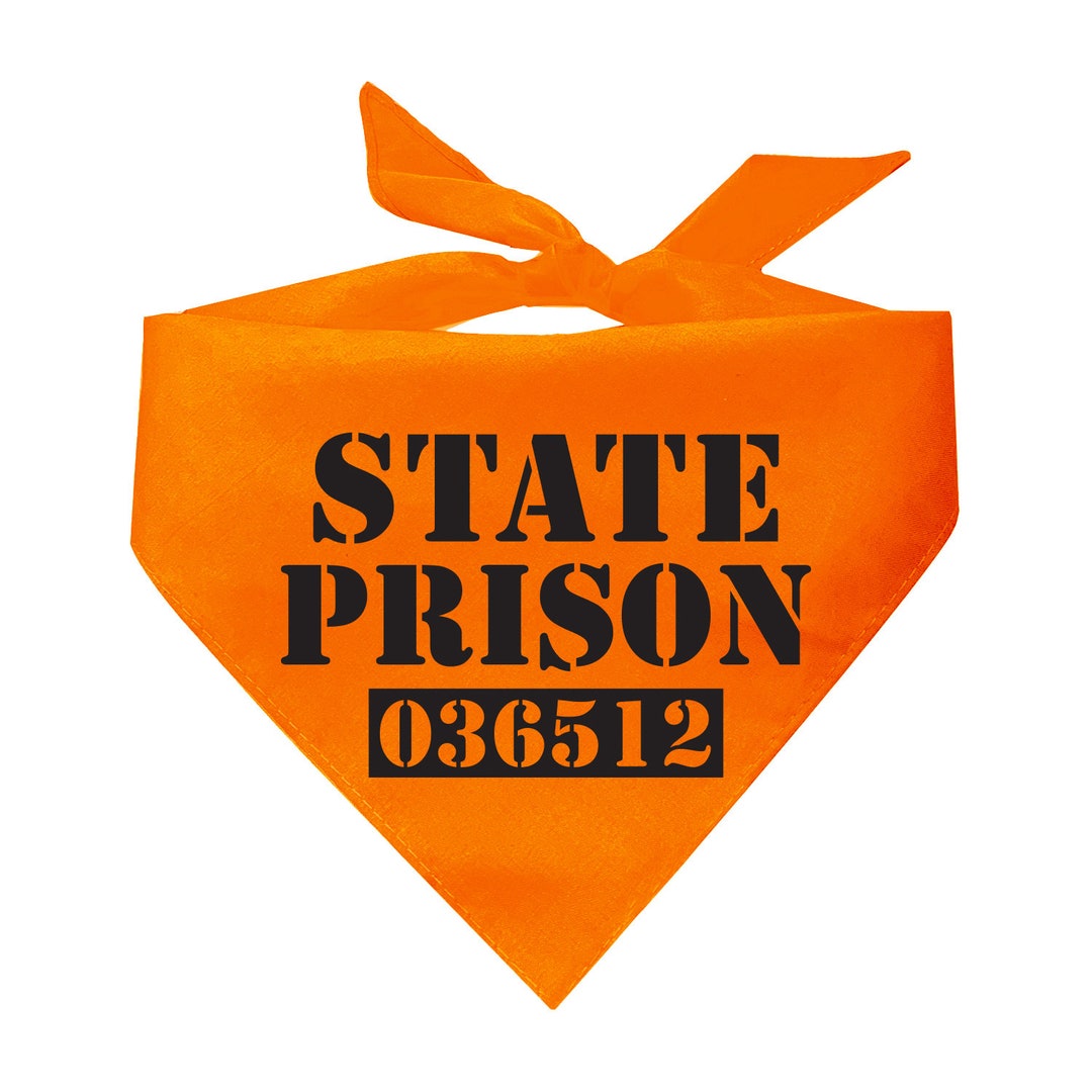 State Prison Halloween Costume Triangle Dog Bandana - Etsy