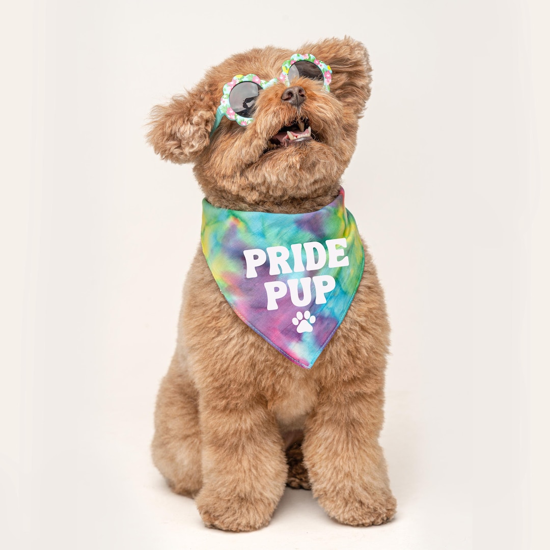 Pride Pup LGBTQ Pride Triangle Dog Bandana - Etsy
