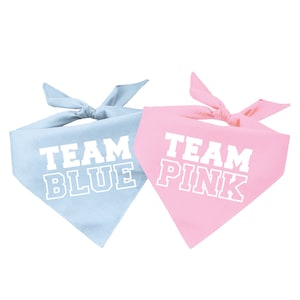 Team Gender Reveal Team Blue Team Pink Baby Announcement Triangle Dog ...