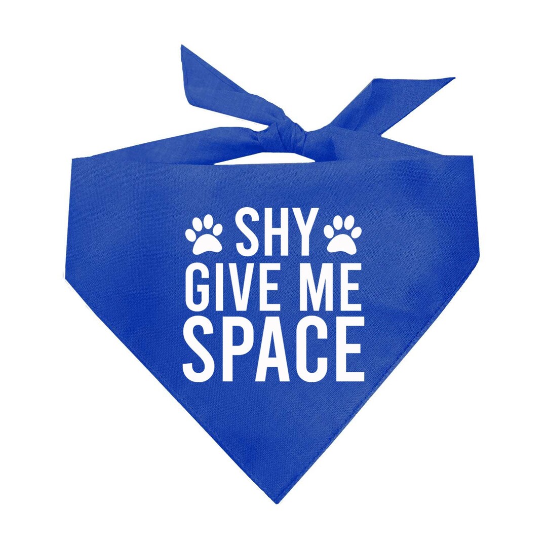 Shy Give Me Space Triangle Dog Bandana - Etsy