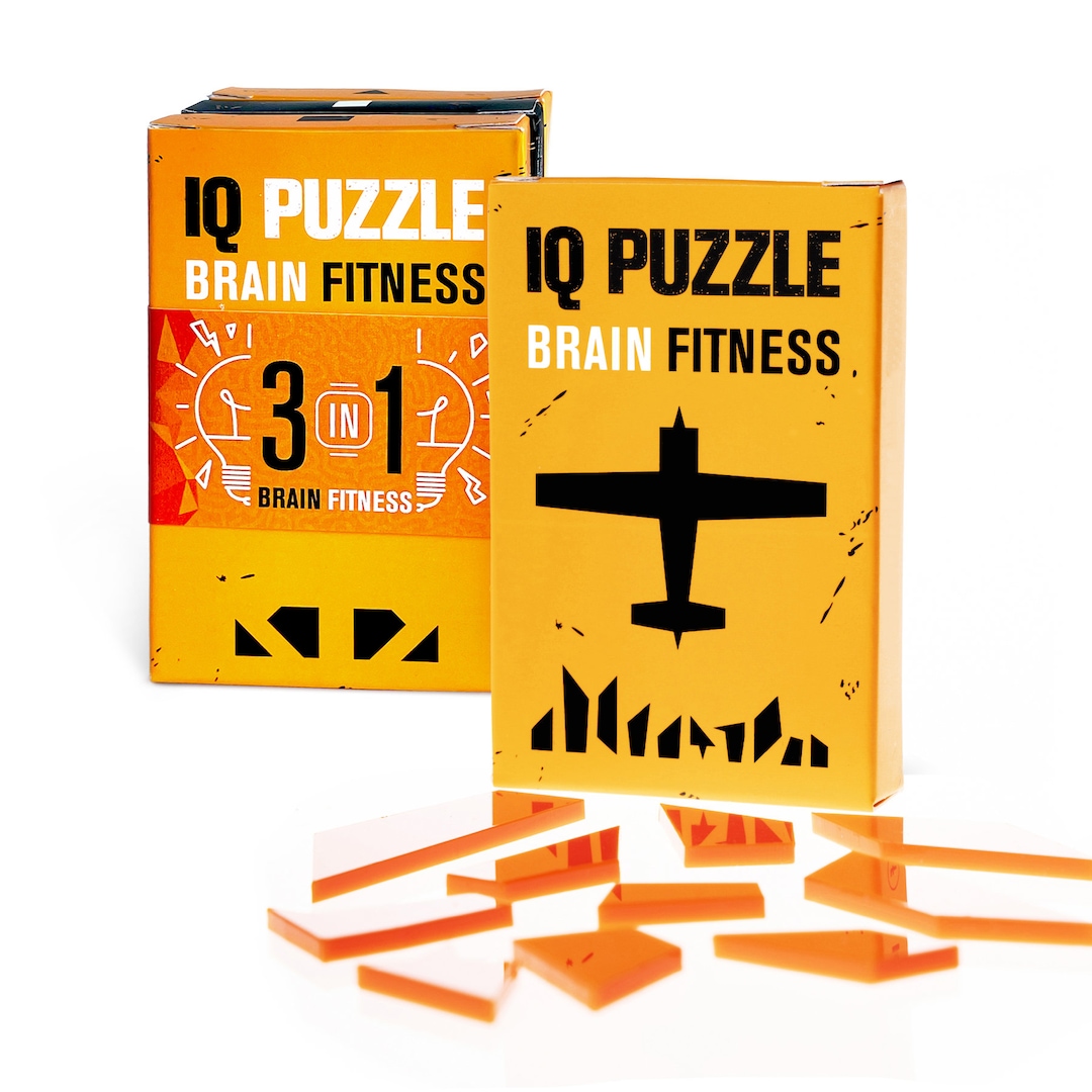 SET OF 3 Geek Toys IQ Puzzle Brain Fitness Games Brain Teaser Puzzles ...