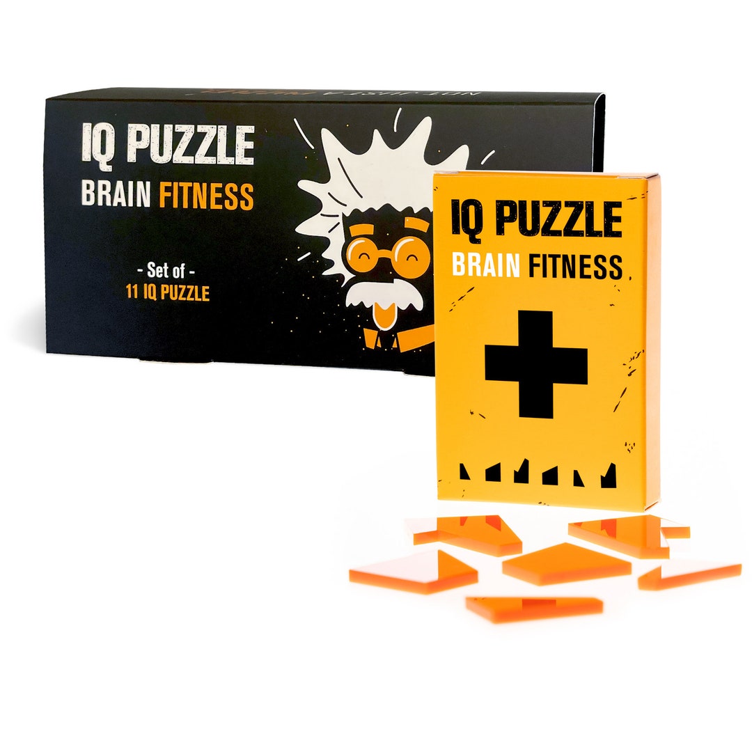 SET OF 11 Geek Toys IQ Puzzle Brain Fitness Games Brain Teaser Puzzles ...