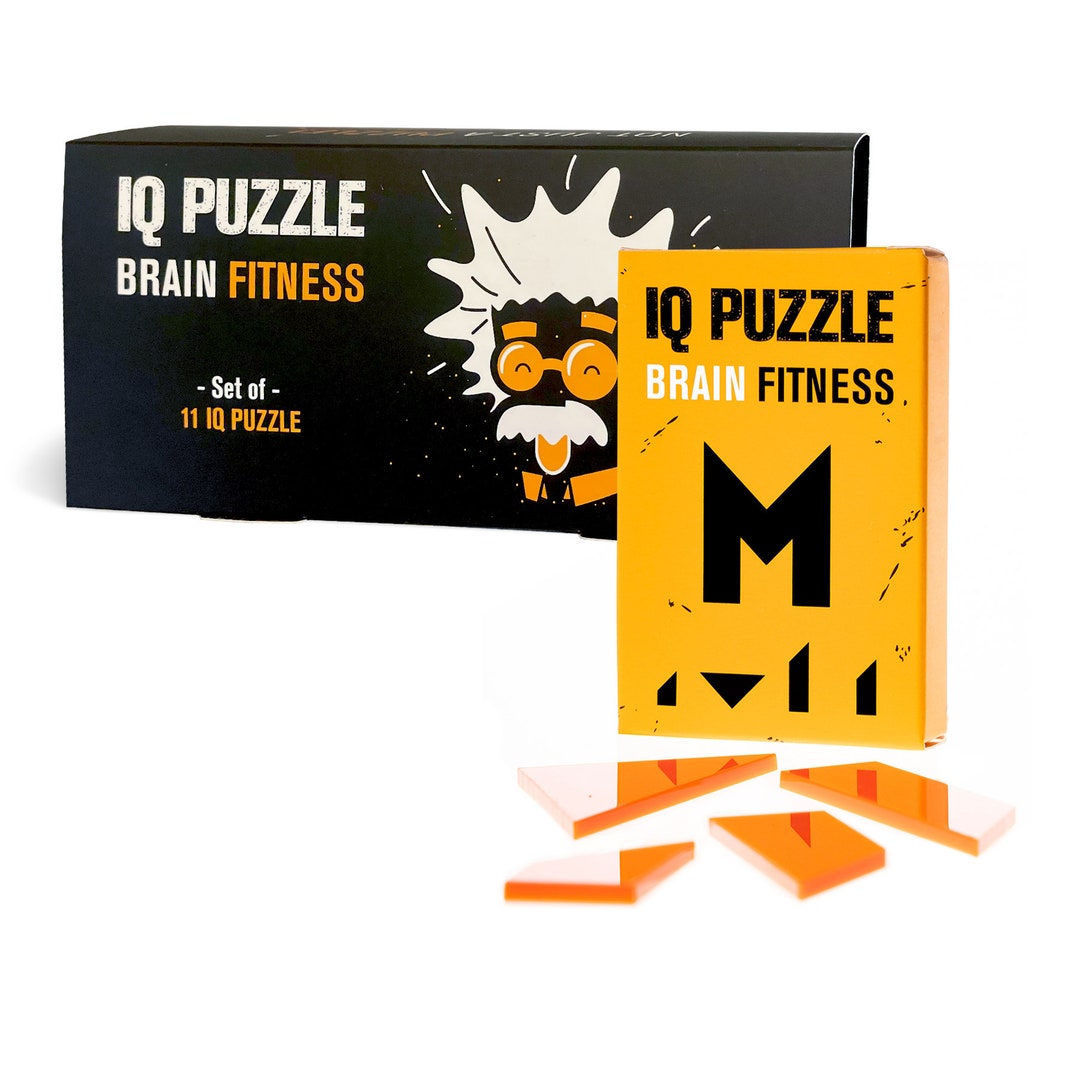 SET OF 11 Geek Toys IQ Puzzle Brain Fitness Games Brain Teaser Puzzles ...
