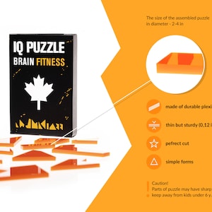 SET OF 11 Geek Toys IQ Puzzle Brain Fitness Games Brain Teaser Puzzles ...